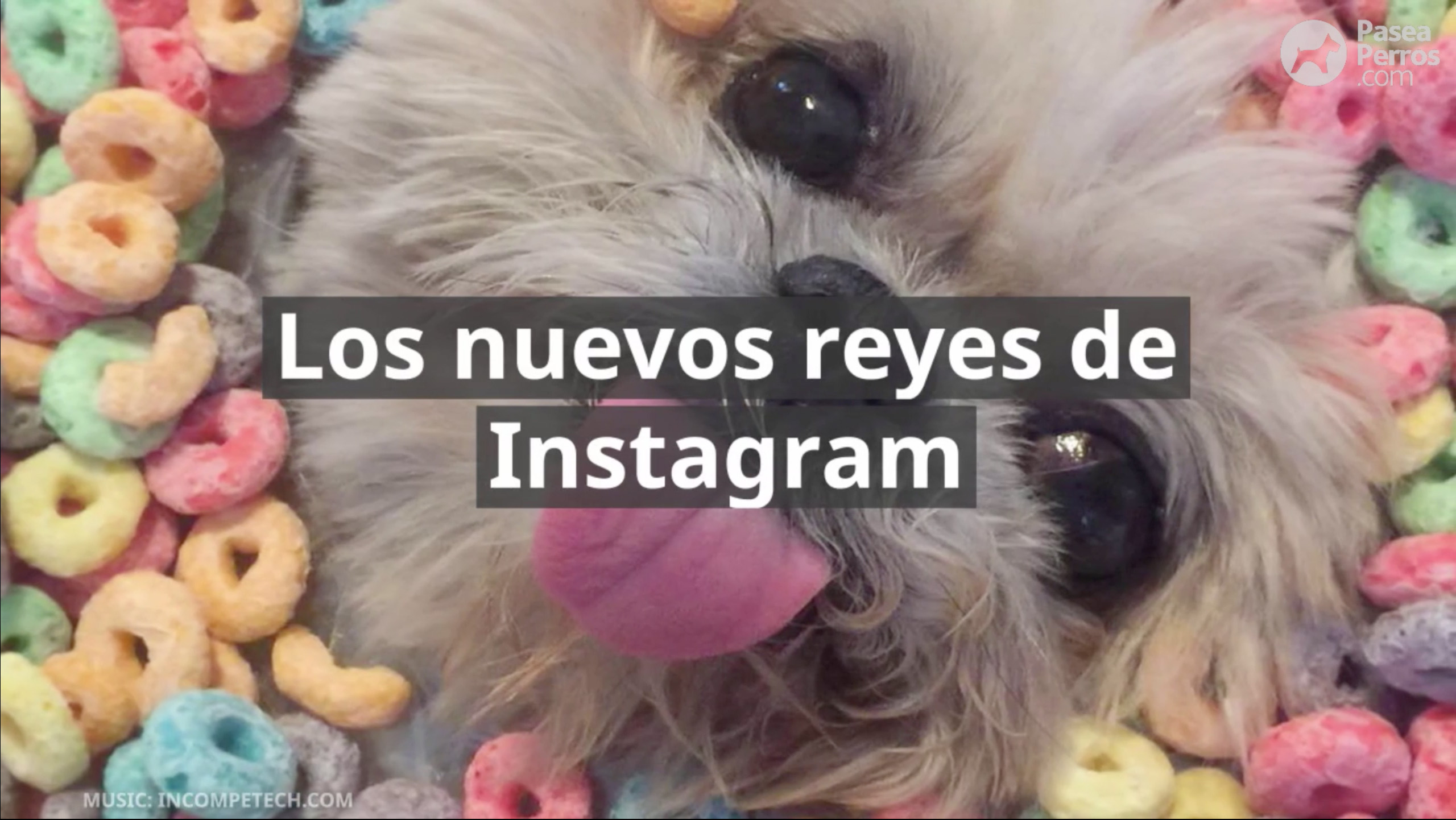 Los Nuevos Reyes De Instagram Blog